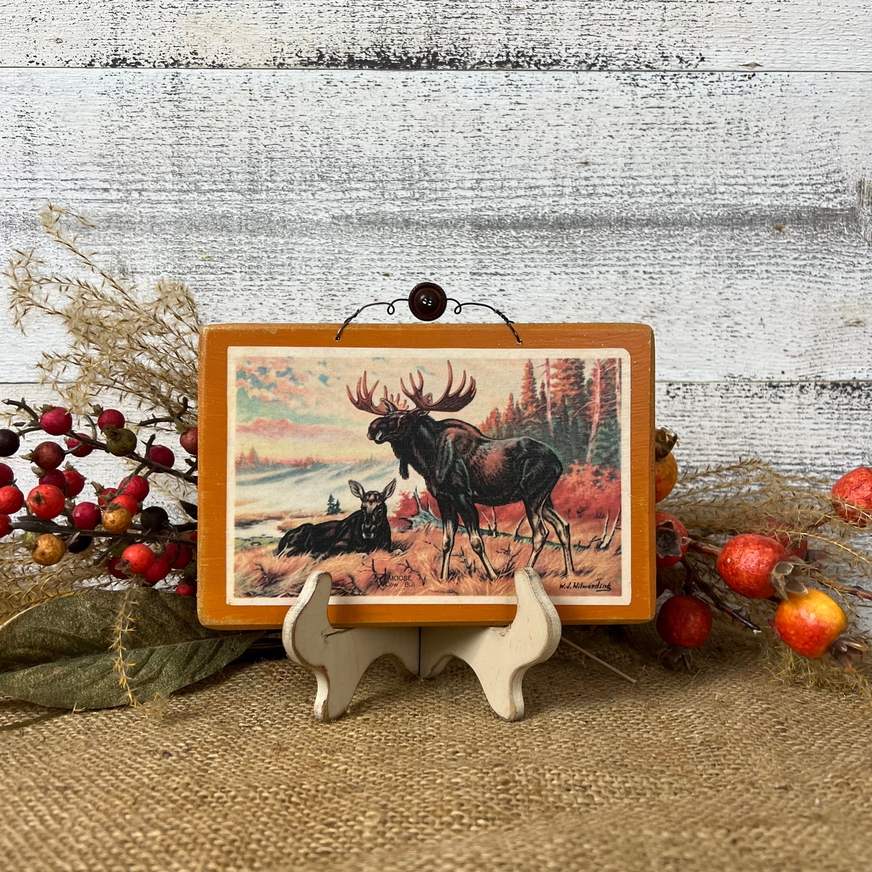 Vintage Postcard Plaque Decor - "Moose" – PostcardPantry